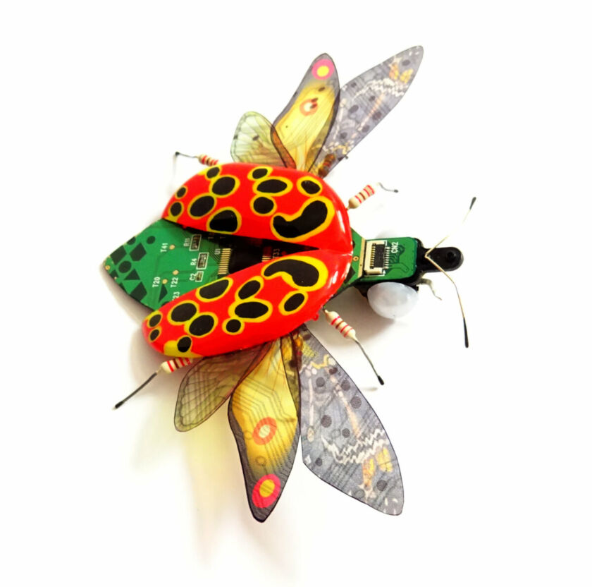 Transforming tech trash into art: Julie Alice Chappell's cyborg insect ...