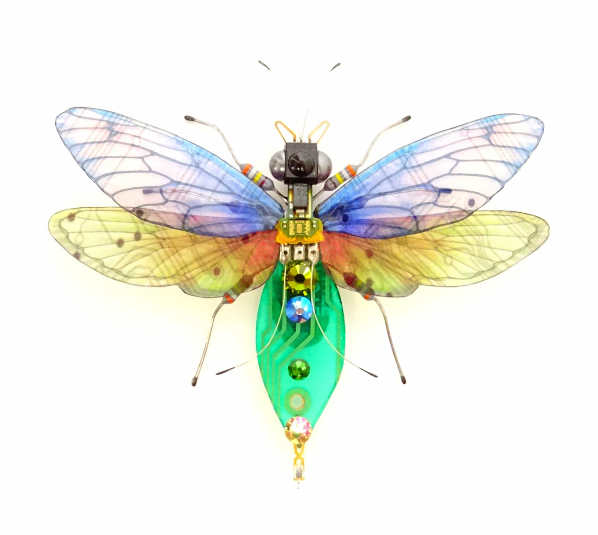 Transforming tech trash into art: Julie Alice Chappell's cyborg insect ...