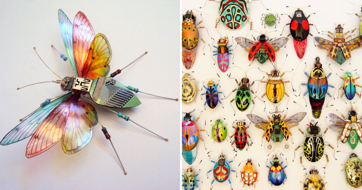 Transforming tech trash into art: Julie Alice Chappell's cyborg insect ...