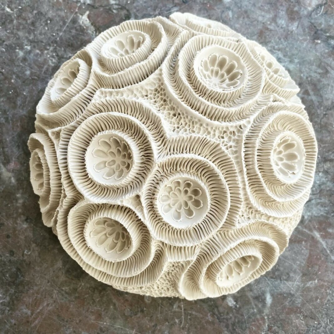 Lisa Seaurchin: intricate abstract porcelain sculptures