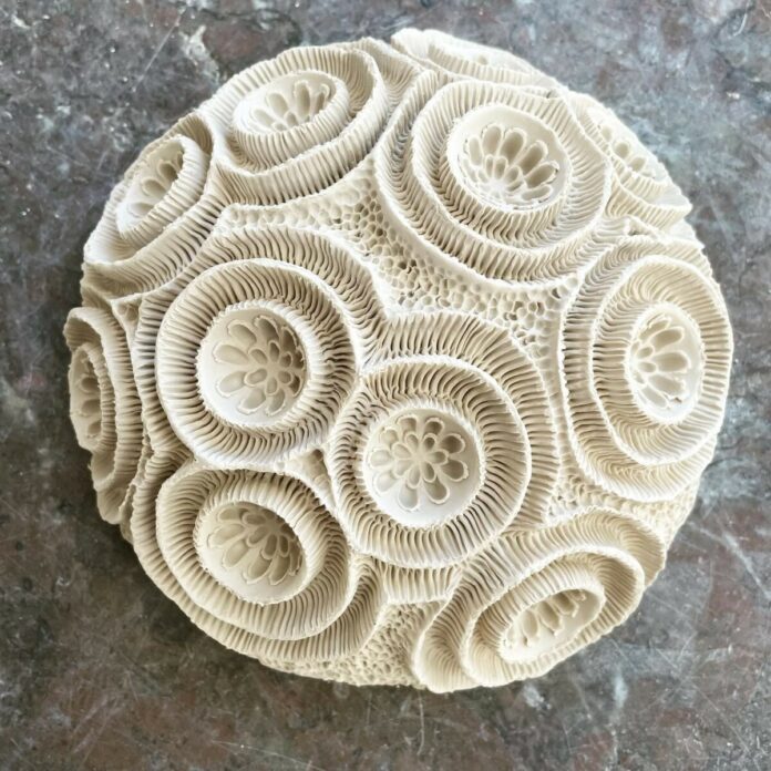 Lisa Seaurchin: intricate abstract porcelain sculptures