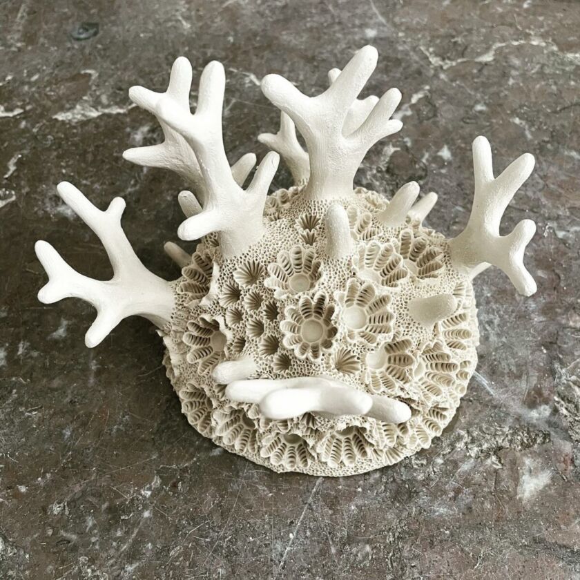 Lisa Seaurchin: intricate abstract porcelain sculptures
