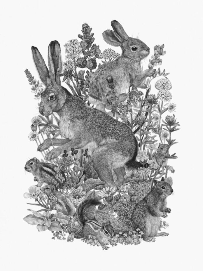 Zoe Keller: scientific fauna and flora eco-conscious illustrations