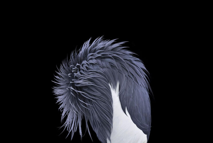 Affinity: rediscovering human-nature connection through Brad Wilson's ...