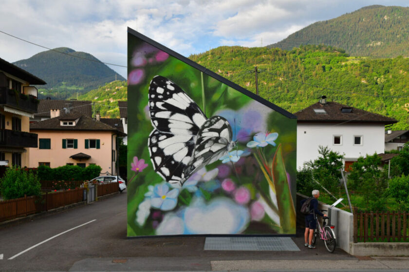 Winged illusions: large-scale 3D photo-realistic murals of butterflies ...
