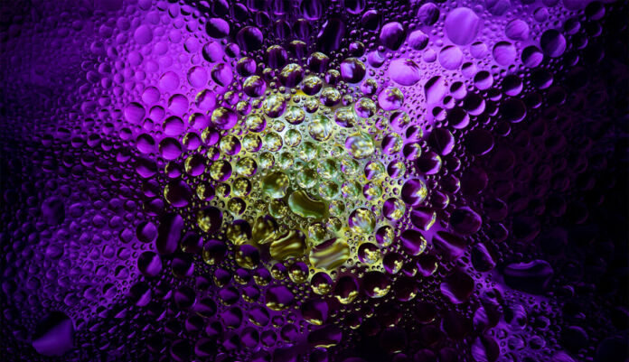 Inside: an exquisite poetic floral photography series by Davy Evans ...