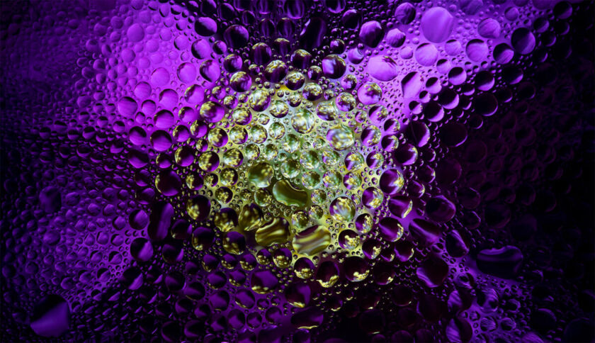 Davy Evans: abstract experimental floral photography