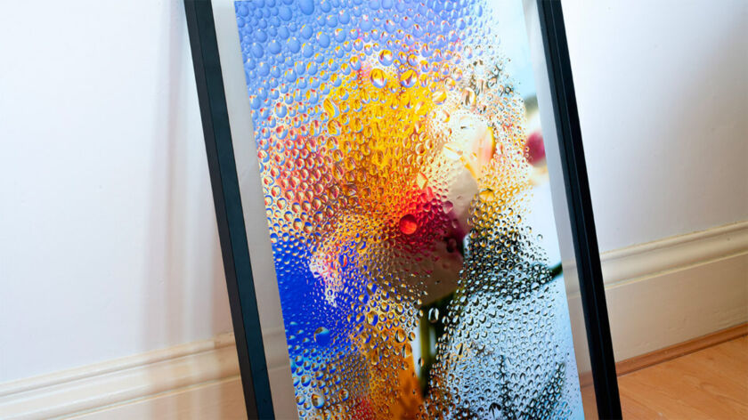 Davy Evans: stunning poetic floral photography