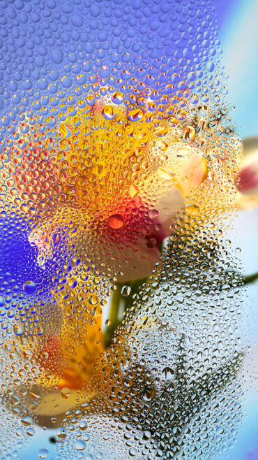 Davy Evans: abstract experimental floral photography
