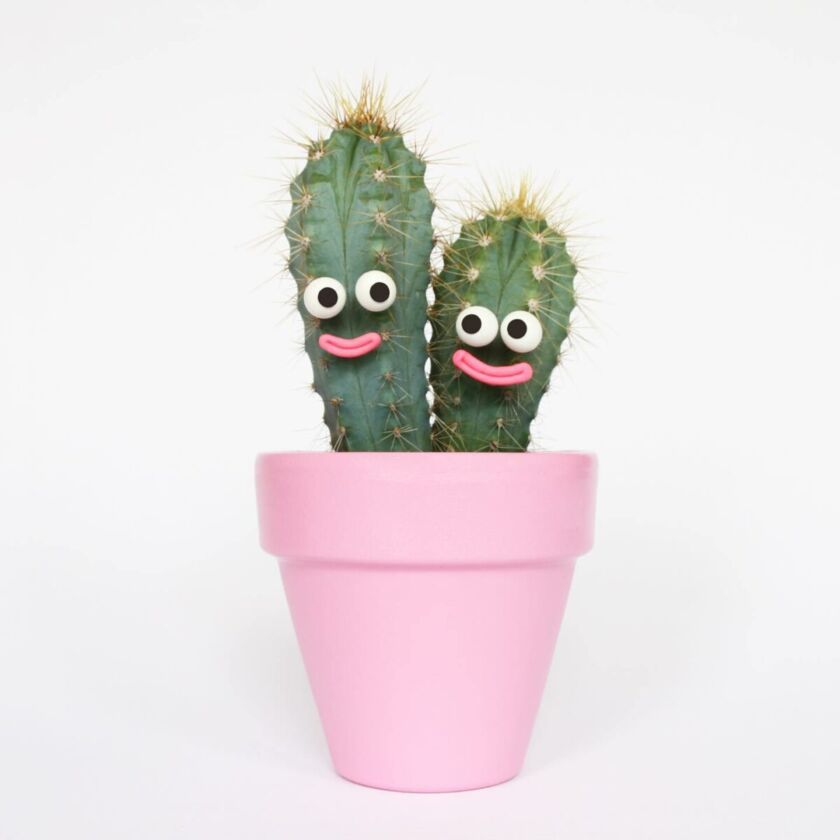 Personification: artist Charlotte Love turns food and objects into ...