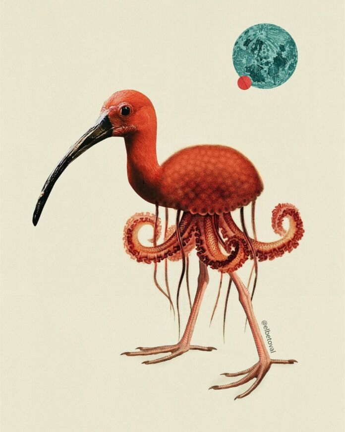 Beto Val’s surreal collages create eccentric creatures from vintage art ...