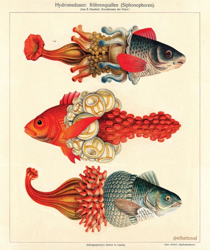 Beto Val’s surreal collages create eccentric creatures from vintage art ...