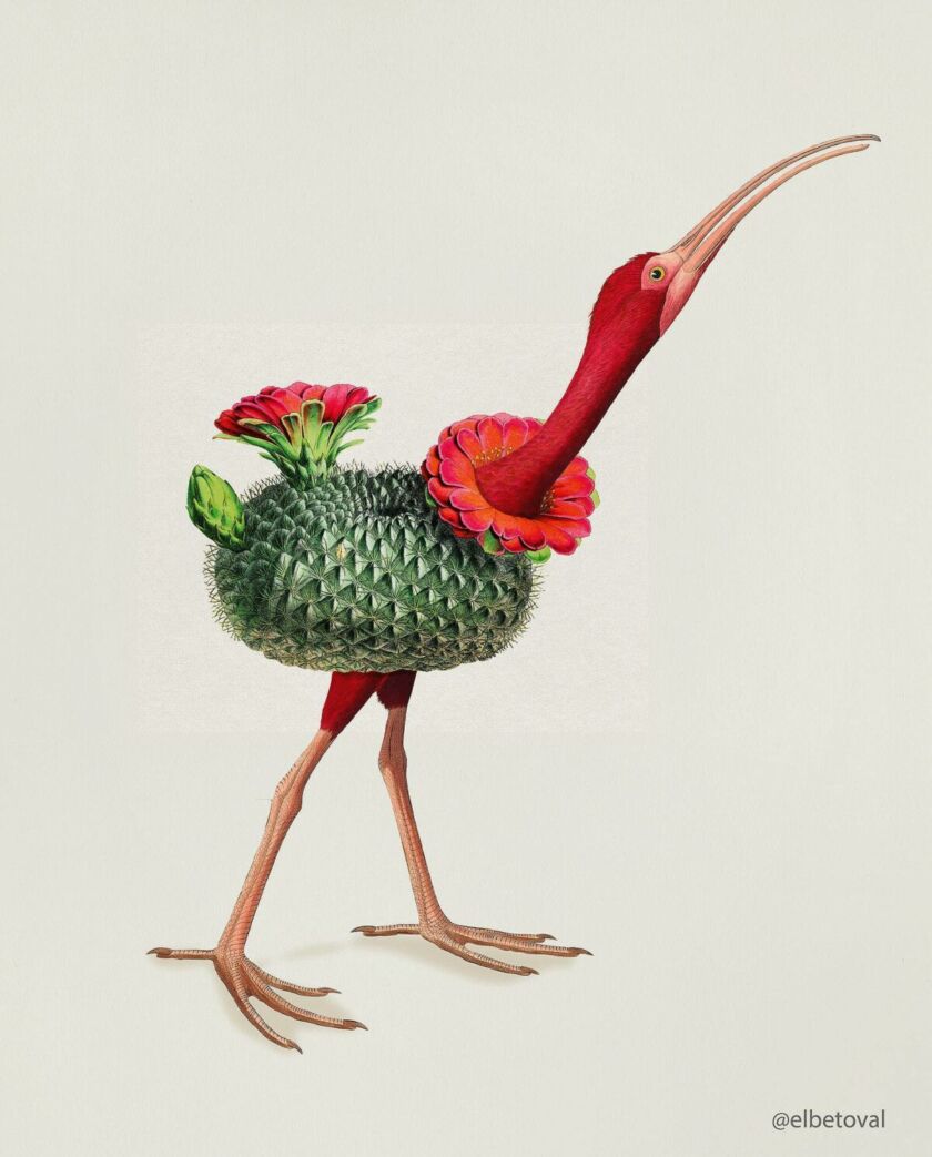 Beto Val’s surreal collages create eccentric creatures from vintage art ...