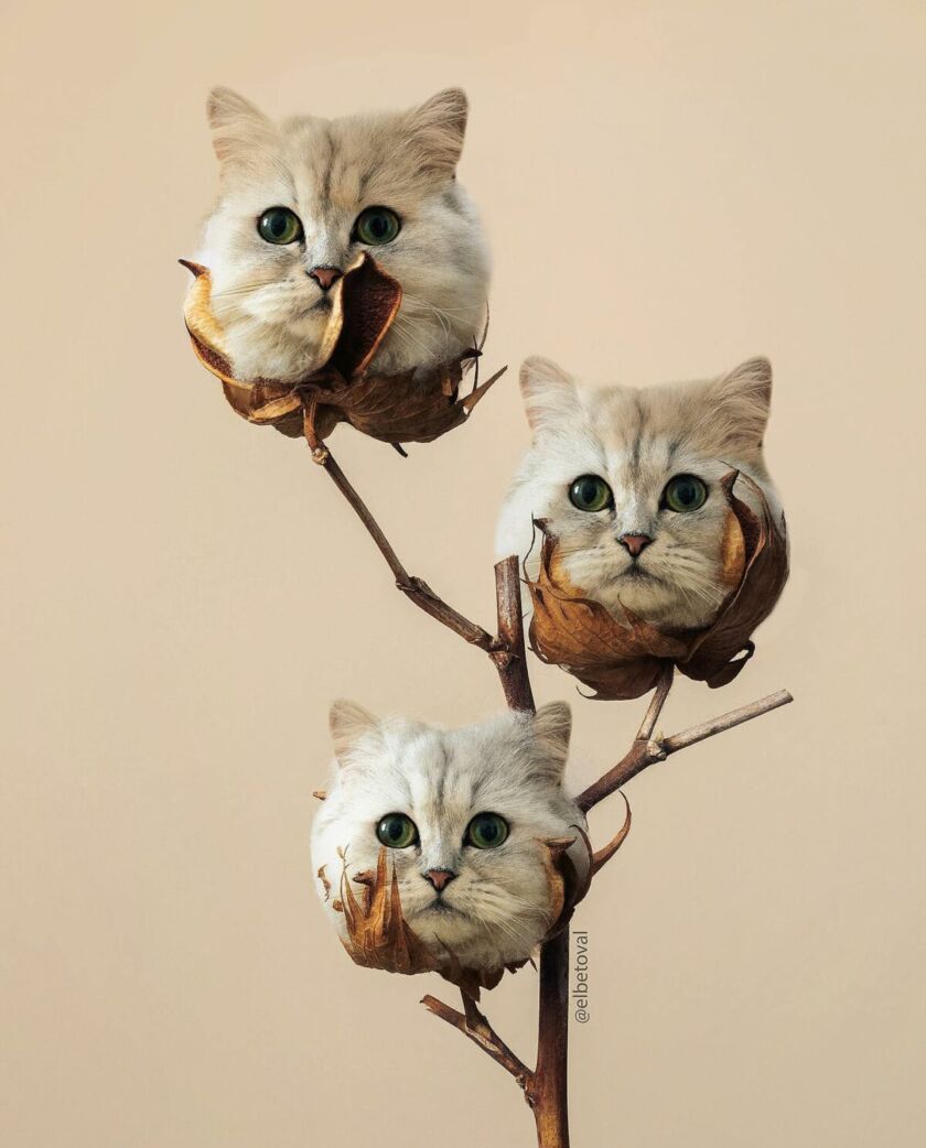 Beto Val’s surreal collages create eccentric creatures from vintage art ...