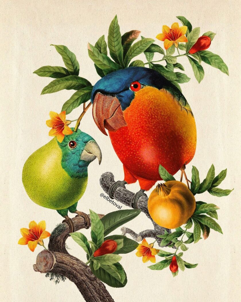 Beto Val’s surreal collages create eccentric creatures from vintage art ...