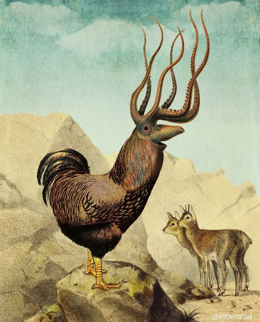 Beto Val’s surreal collages create eccentric creatures from vintage art ...