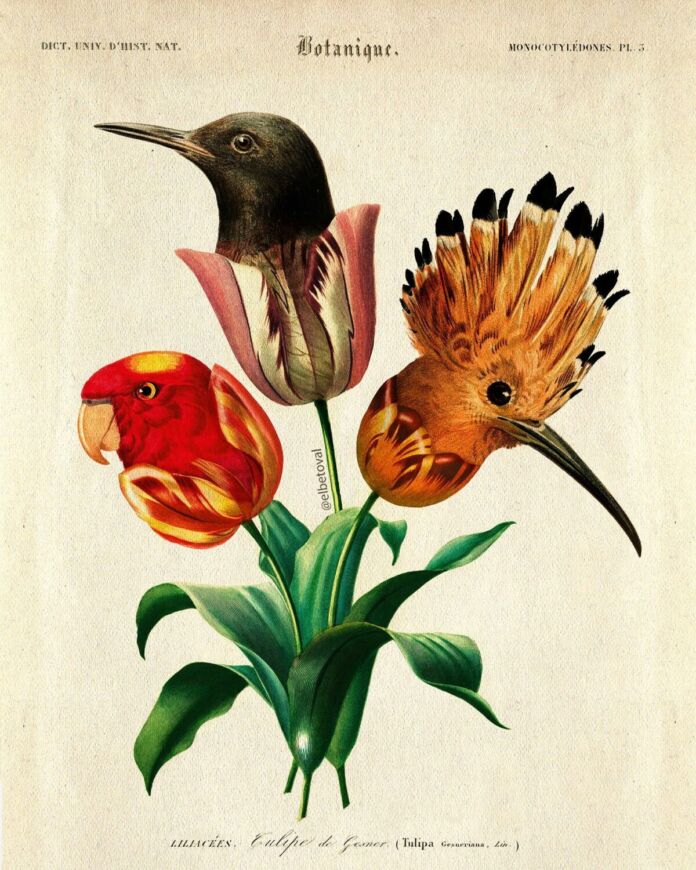 Beto Val’s surreal collages create eccentric creatures from vintage art ...