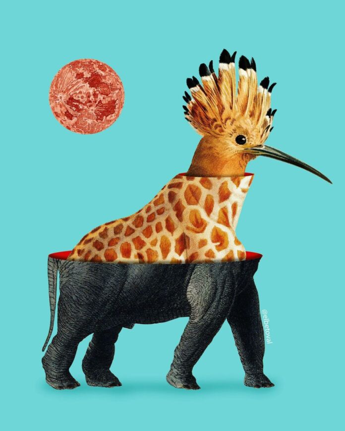 Beto Val’s surreal collages create eccentric creatures from vintage art ...