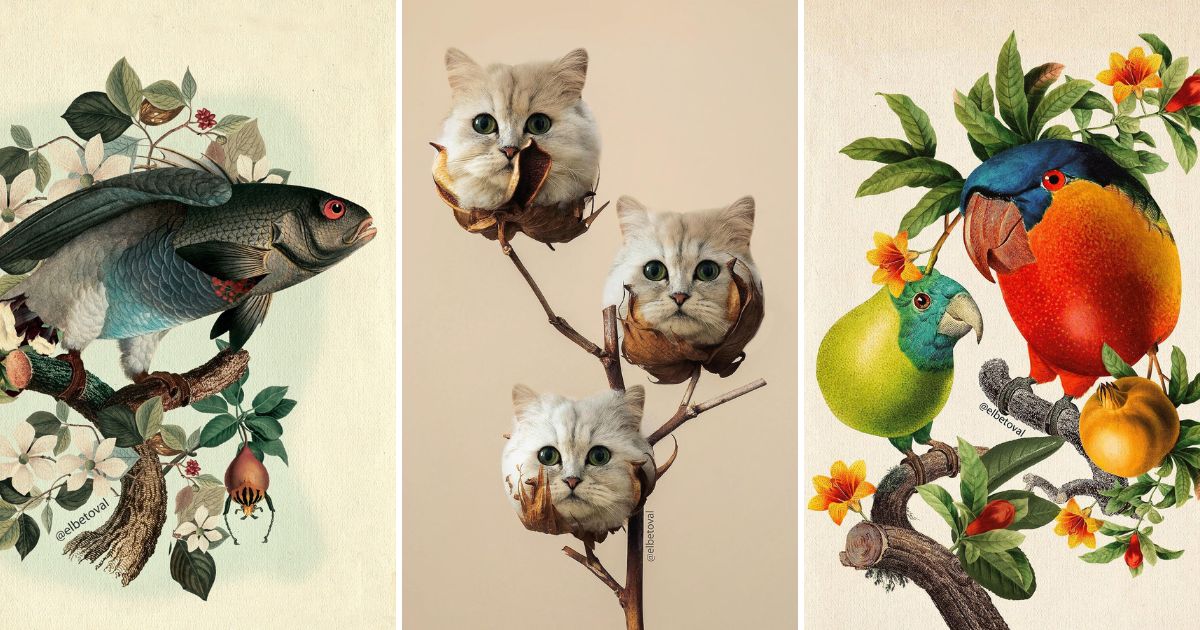Beto Val’s surreal collages create eccentric creatures from vintage art ...