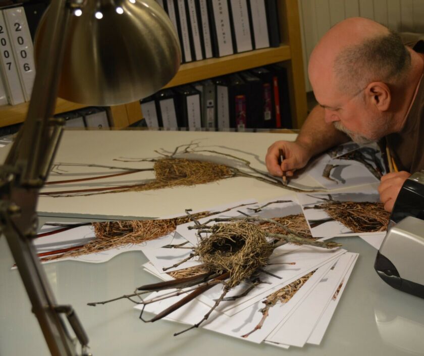 David Morrison's colored pencil art: a closer look at the fragility of ...