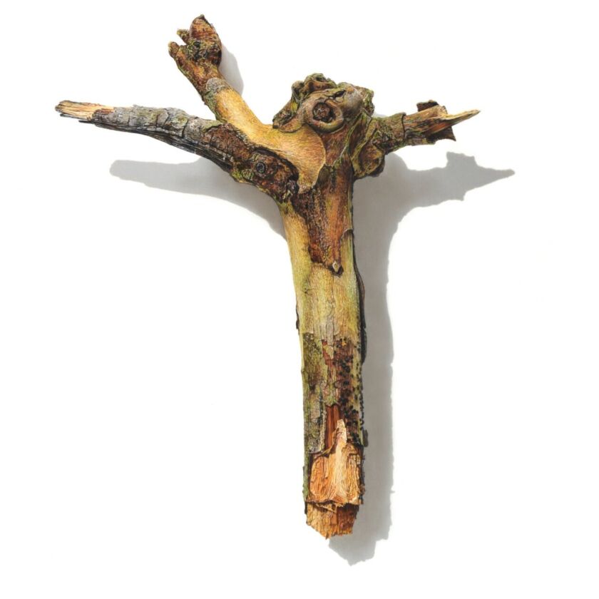 David Morrison's colored pencil art: a closer look at the fragility of ...