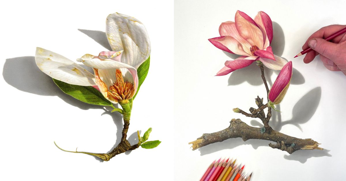 David Morrison's colored pencil art: a closer look at the fragility of ...