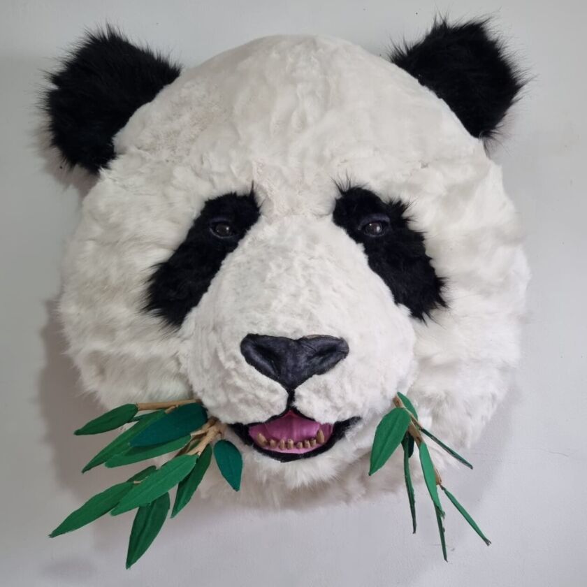 Josh Gluckstein: lifelike animal sculptures from cardboard