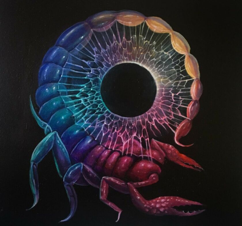Molly Devlin: botanical beast figurative illustrations