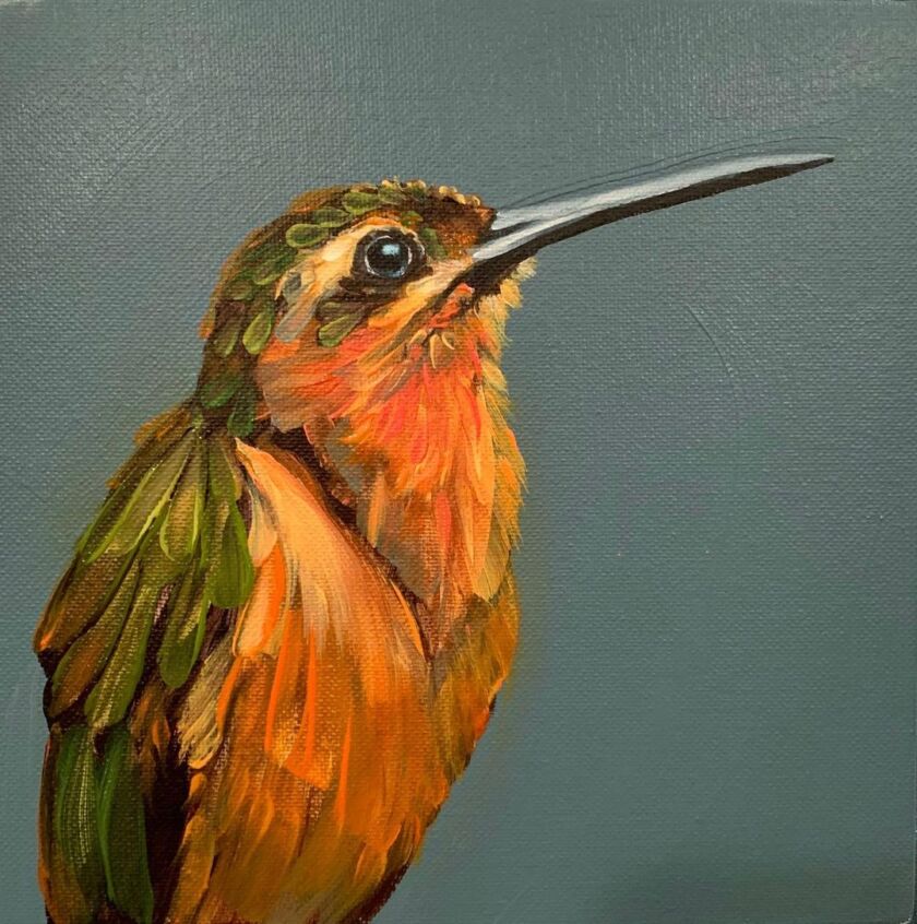 Feathers and hues: the exquisite bird portrait paintings of Rachel ...