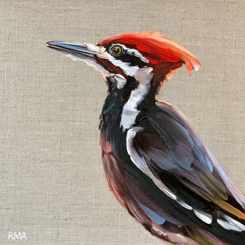 Feathers and hues: the exquisite bird portrait paintings of Rachel ...