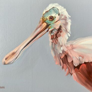 Feathers and hues: the exquisite bird portrait paintings of Rachel ...
