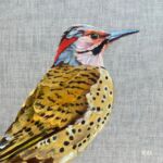 Feathers and hues: the exquisite bird portrait paintings of Rachel ...