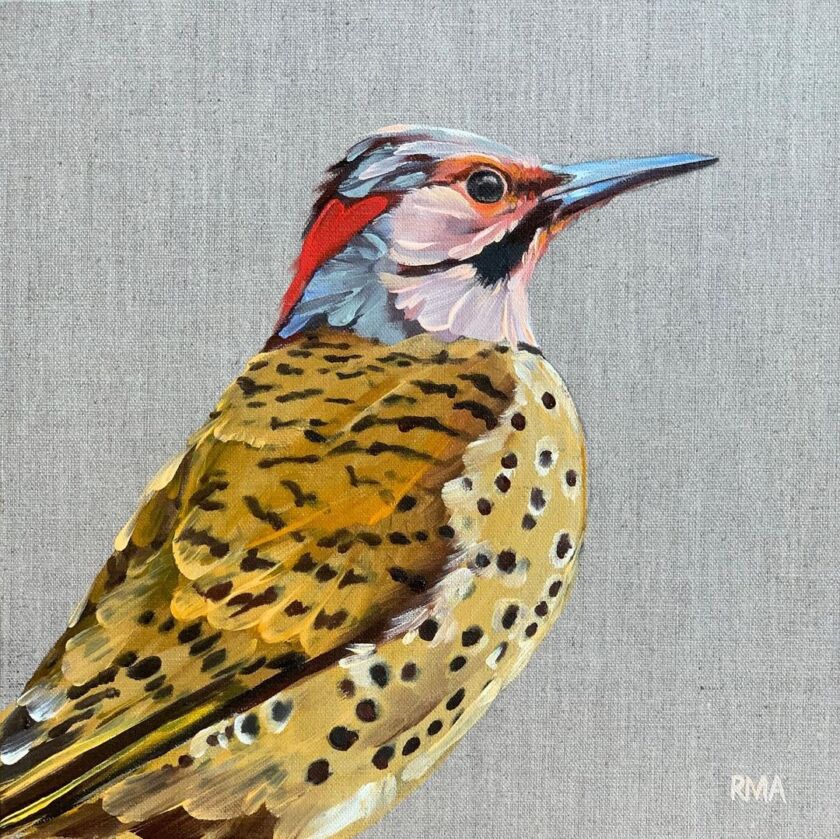 Feathers and hues: the exquisite bird portrait paintings of Rachel ...