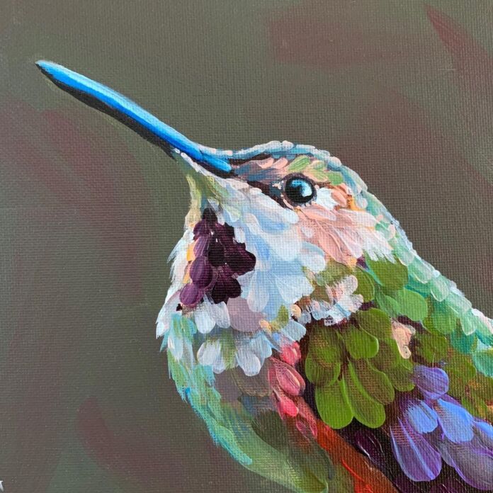 Feathers and hues: the exquisite bird portrait paintings of Rachel ...