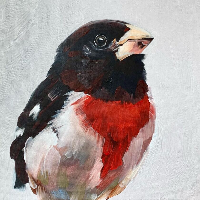 Feathers and hues: the exquisite bird portrait paintings of Rachel ...