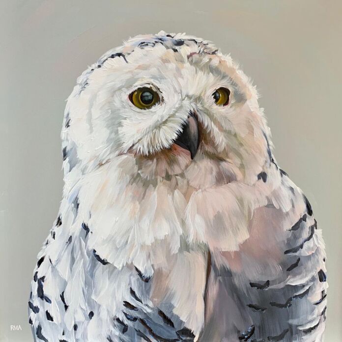 Feathers and hues: the exquisite bird portrait paintings of Rachel ...