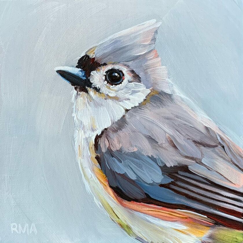 Feathers and hues: the exquisite bird portrait paintings of Rachel ...