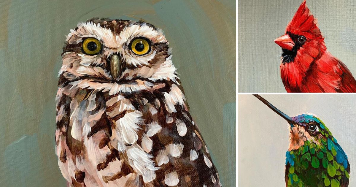 Feathers and hues: the exquisite bird portrait paintings of Rachel ...
