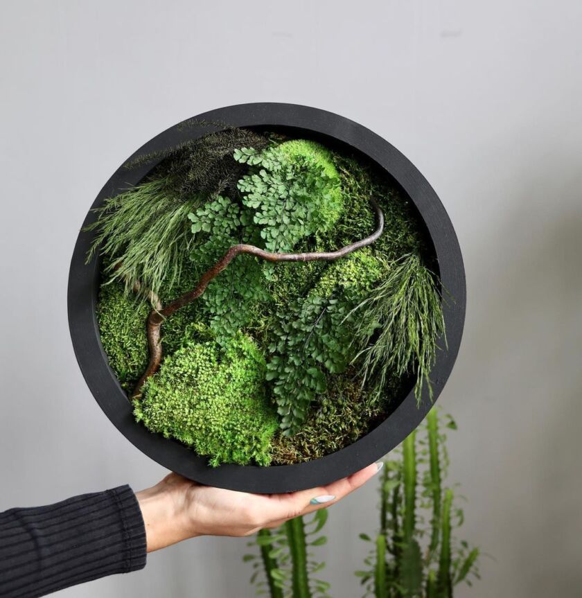 How Anna Paschenko merges terrestrial delights with aquatic elegance in ...