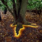 Andy Goldsworthy: ephemeral natural land art installations