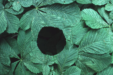 Andy Goldsworthy: ephemeral natural land art installations
