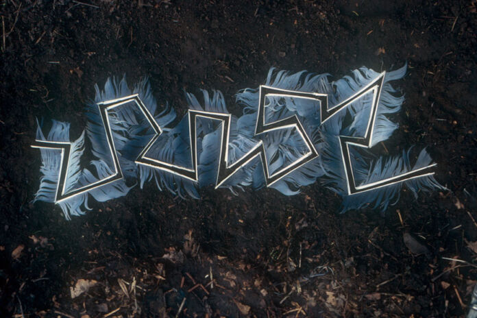 Andy Goldsworthy: ephemeral natural land art installations