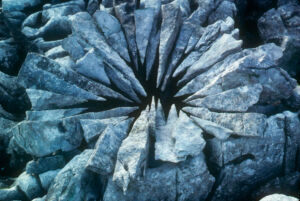 Andy Goldsworthy: ephemeral natural land art installations