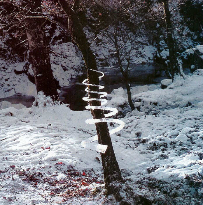 Andy Goldsworthy: ephemeral natural land art installations