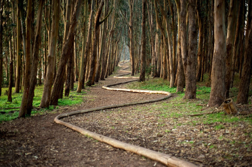 Andy Goldsworthy: ephemeral natural land art installations