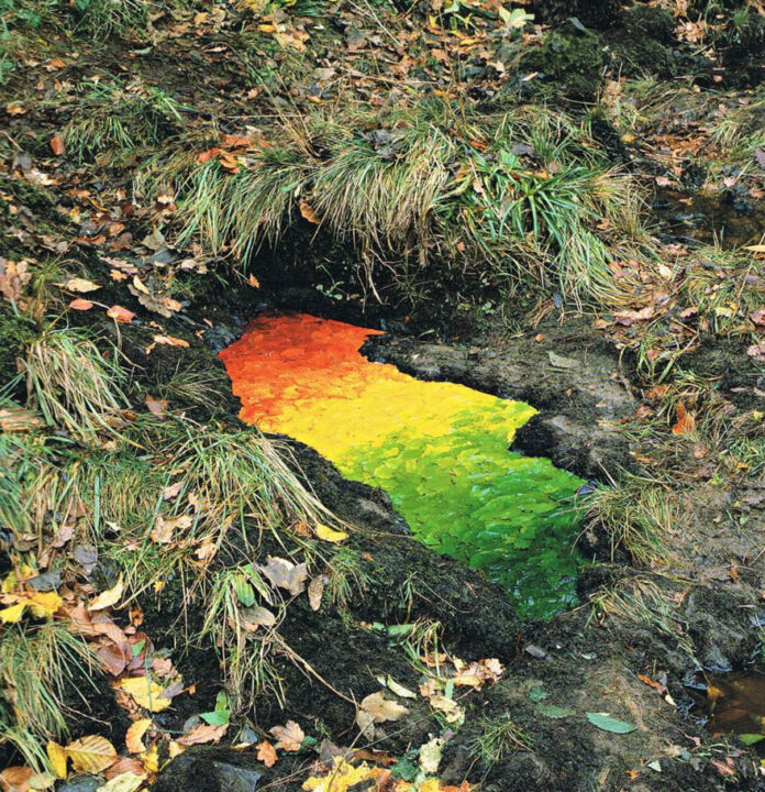 Andy Goldsworthy: ephemeral natural land art installations