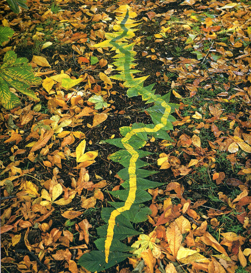 Andy Goldsworthy: ephemeral natural land art installations