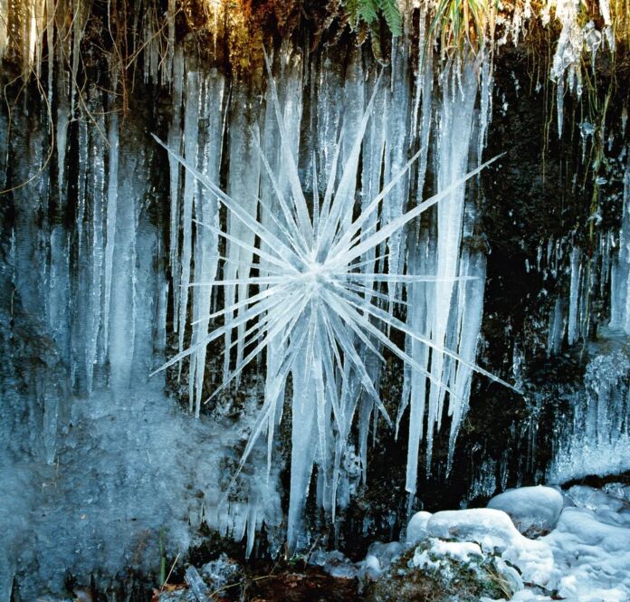 Andy Goldsworthy: ephemeral natural land art installations