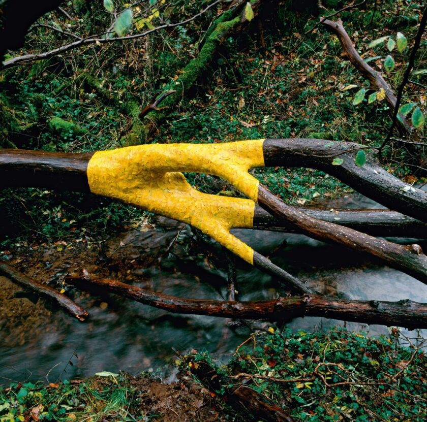 Andy Goldsworthy: ephemeral natural land art installations