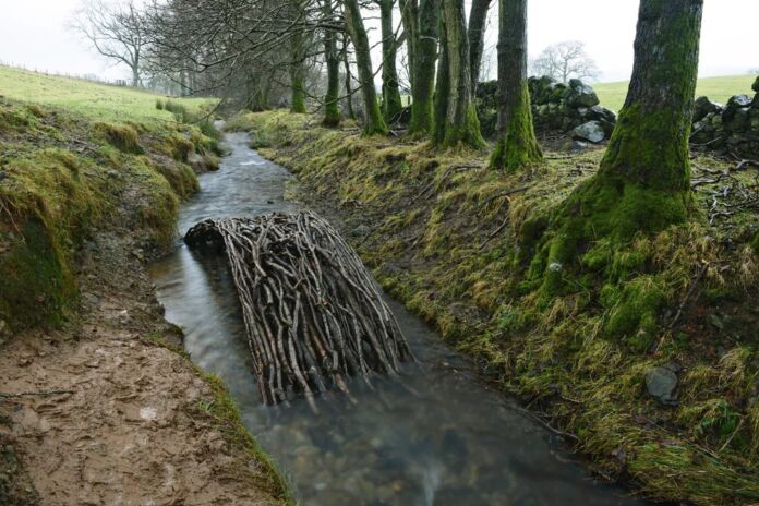 Andy Goldsworthy: ephemeral natural land art installations